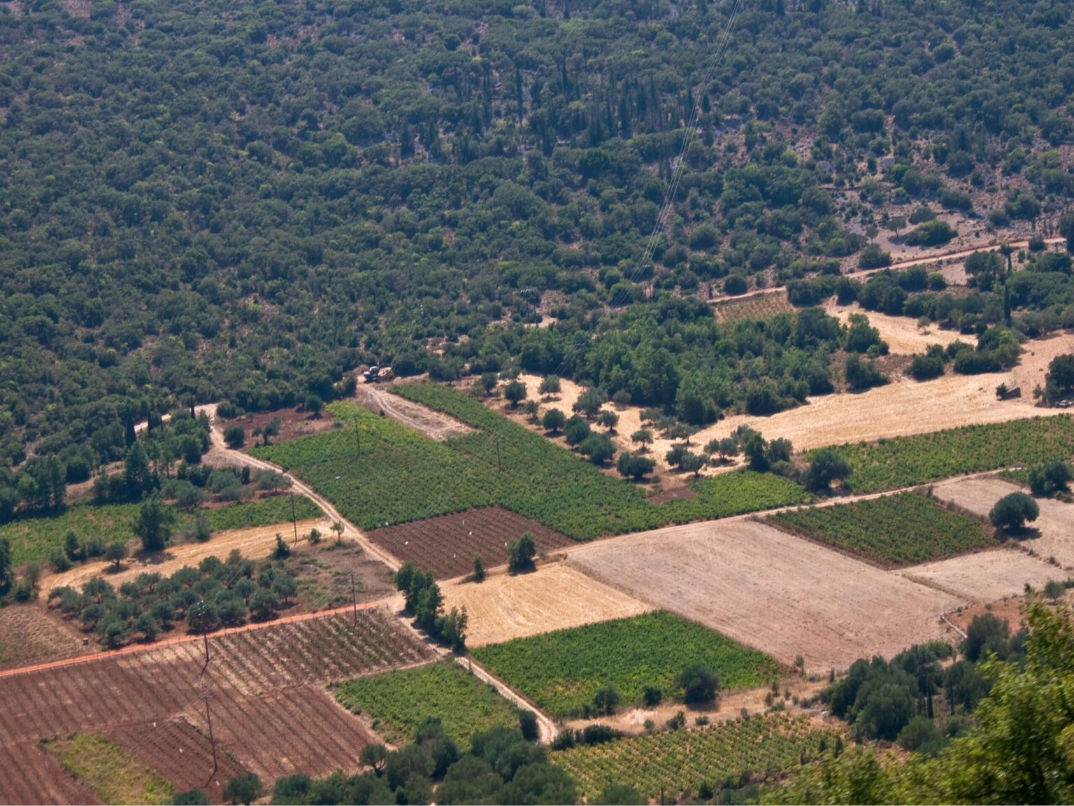 PodemosGetafe.es | PodemosGetafe.es